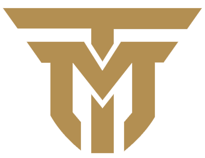 T&M Security Solutions LLC | Premier Security Services