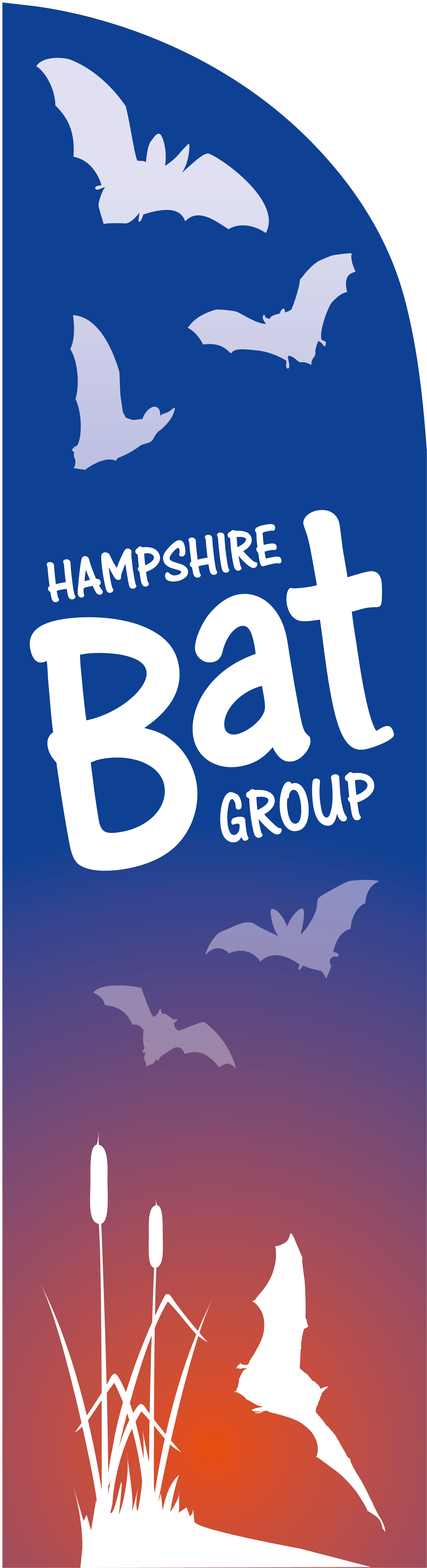 Hampshire Bat Group - Home