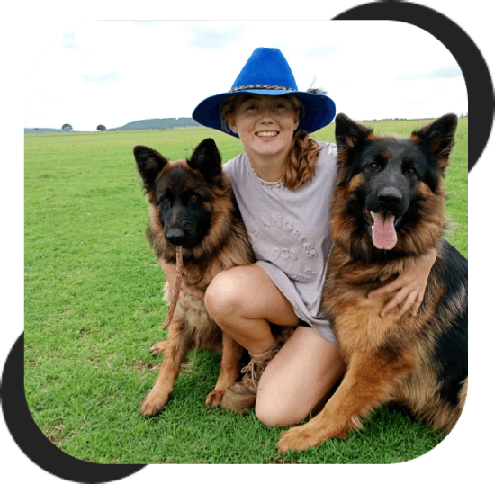 Quality German Shepherds for Sale in South Australia