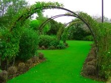 Garden feature arches & plant supports