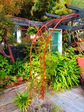 Garden feature arches & plant supports