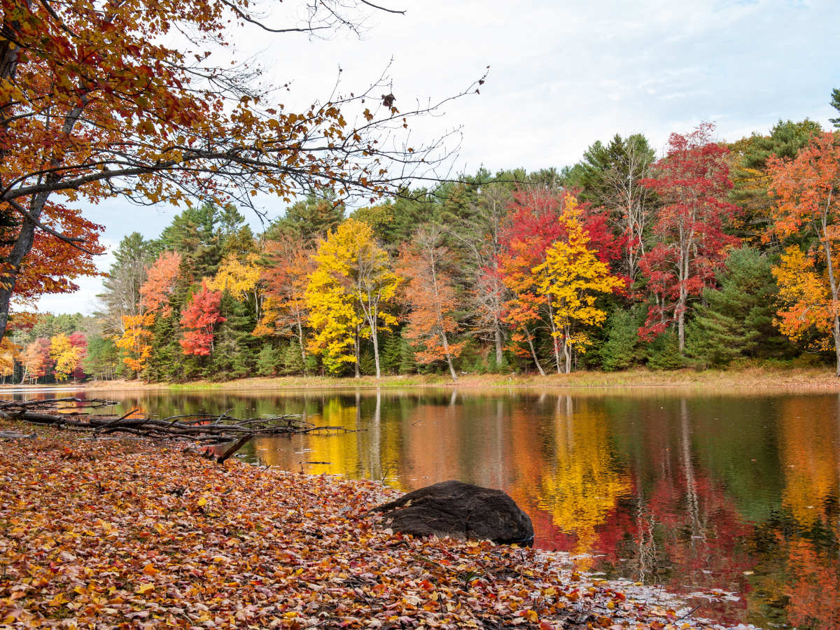 Can You Do River Trips in the Fall?