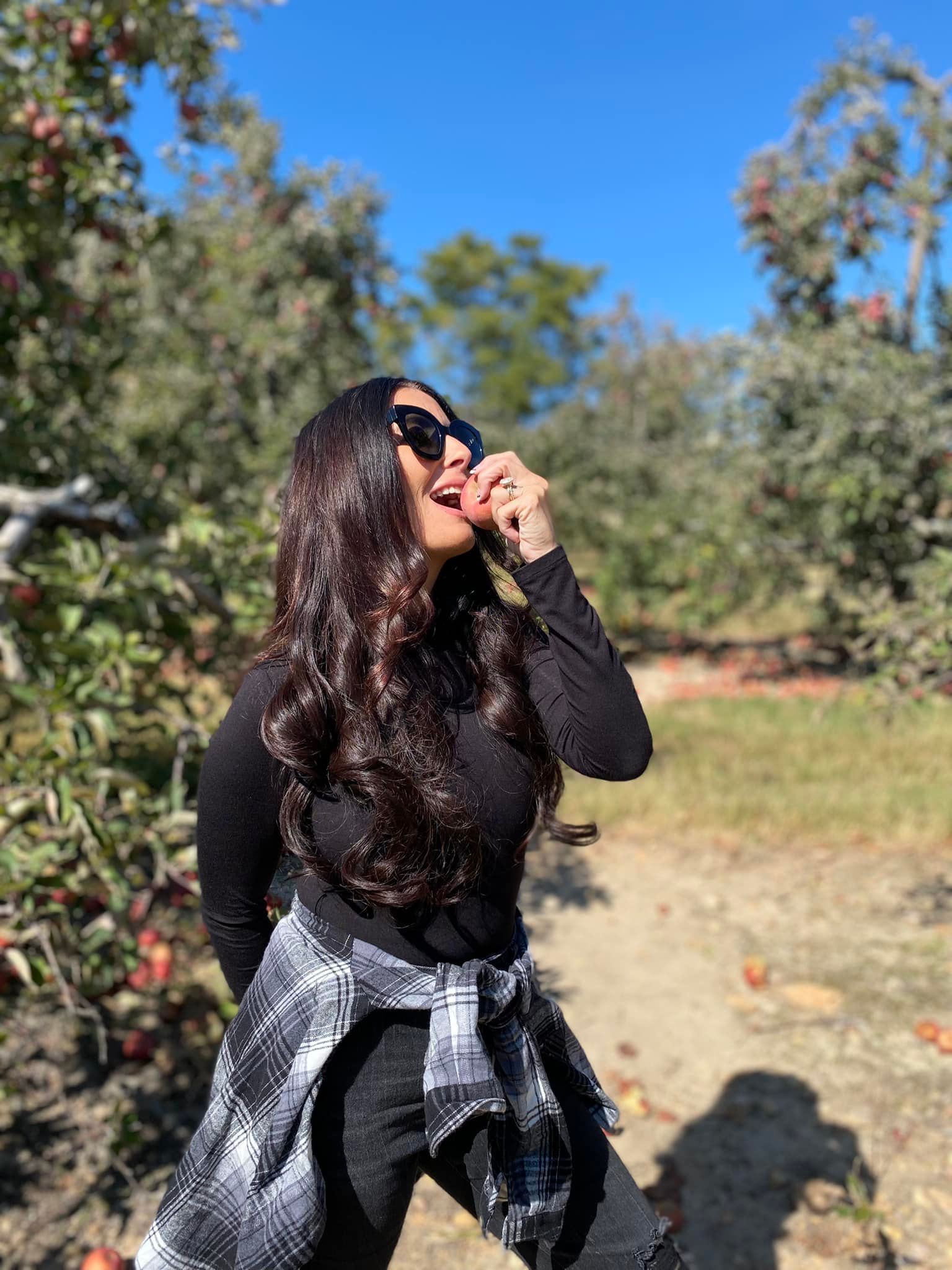 Recent Posts | Erin Mansour: Discover Your Roar