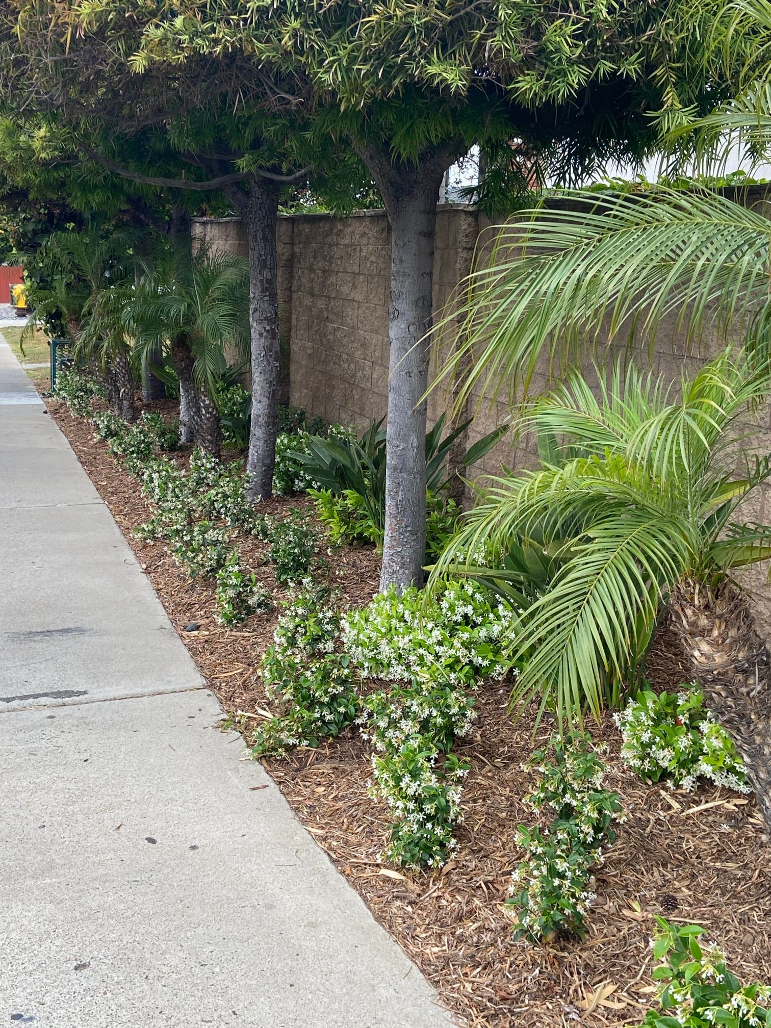 Gallery - Le Perv Landscape Inc.