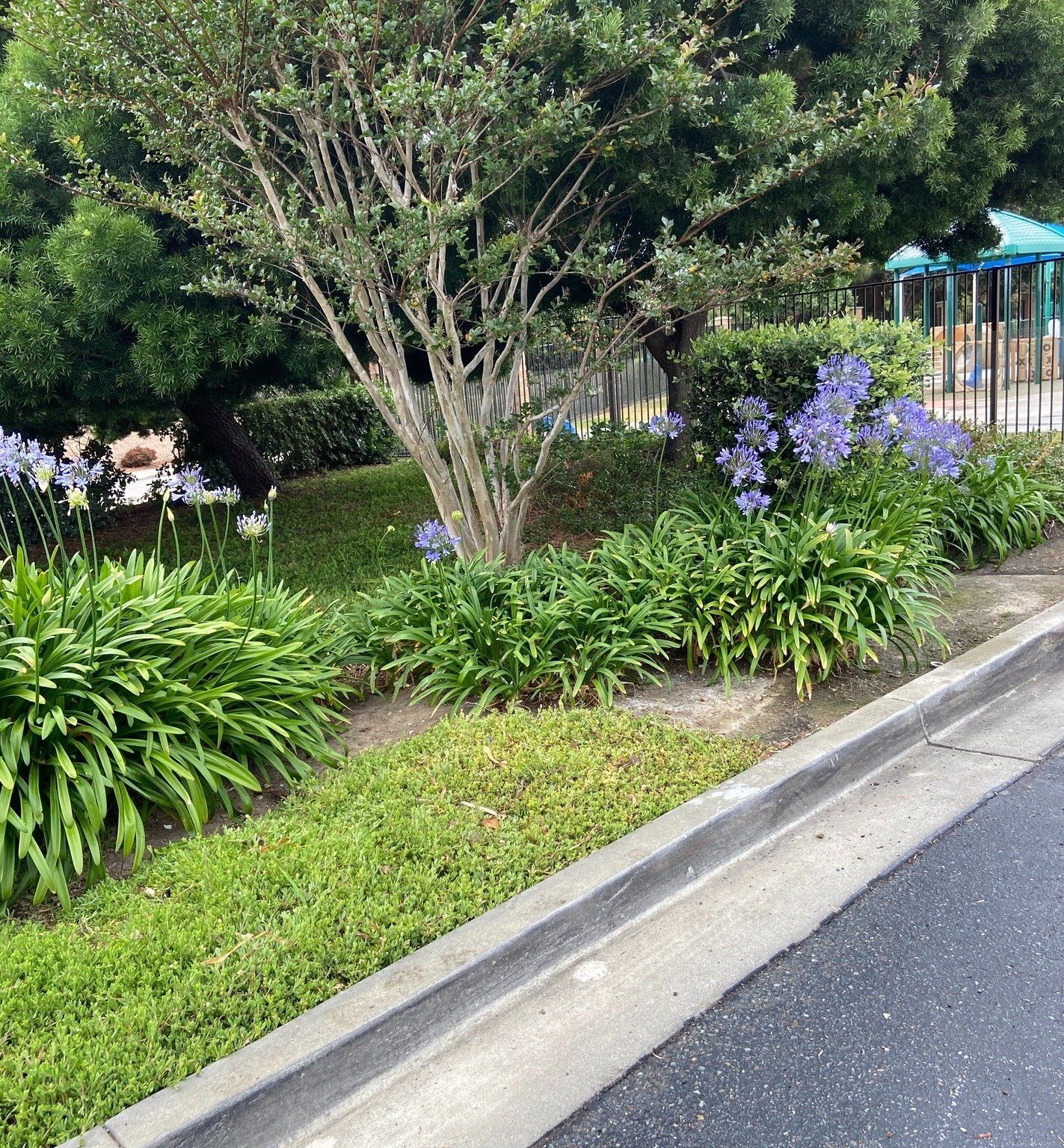 Gallery - Le Perv Landscape Inc.