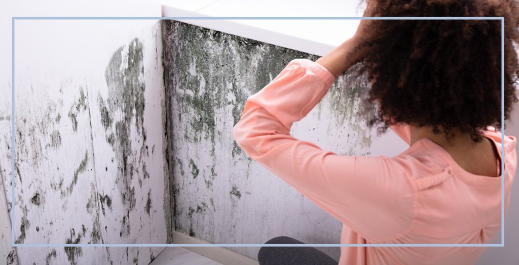 Mold Removal - Oro Valley, AZ | Pure Maintenance of Tucson