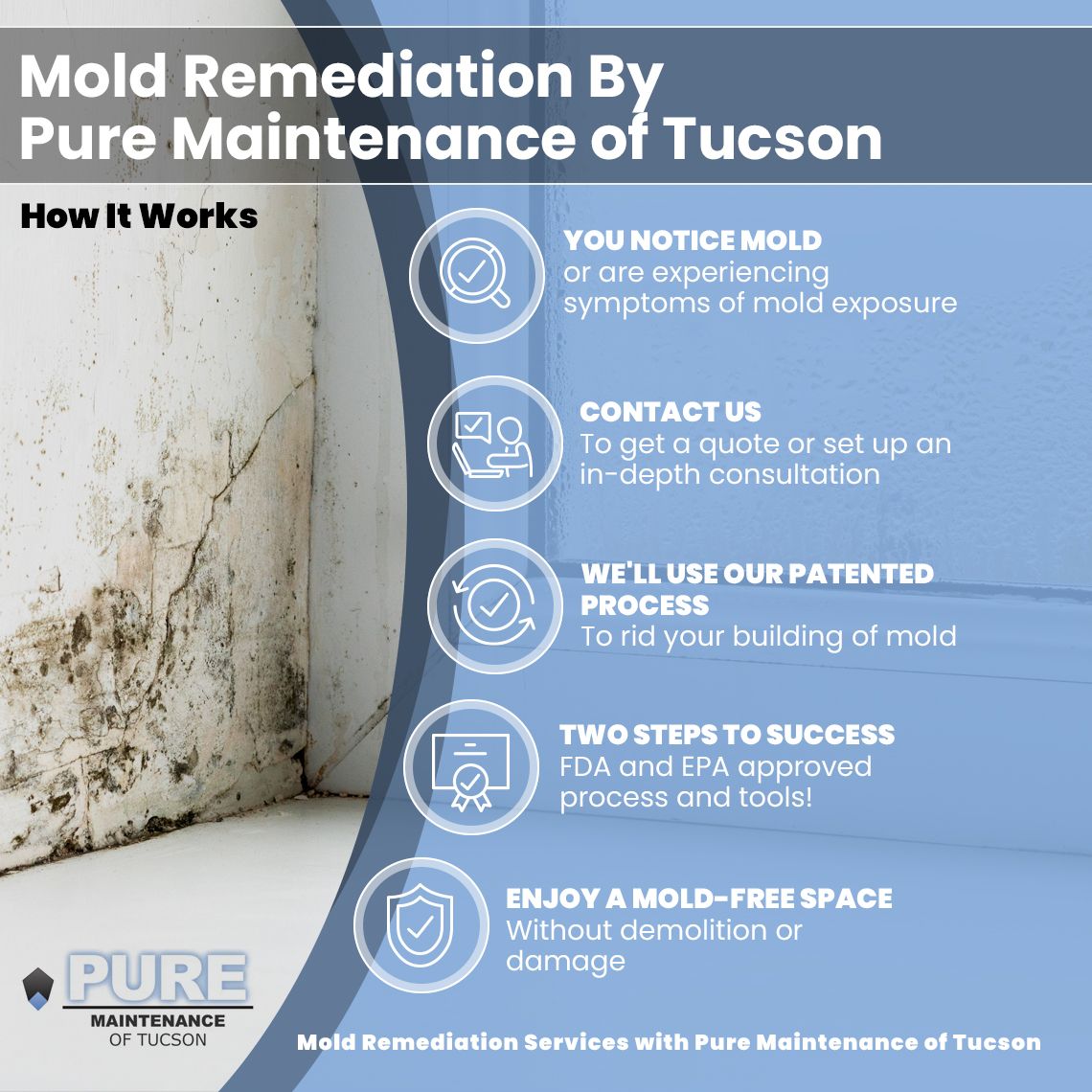 Mold Remediation - Residential Mold Removal Tucson, AZ