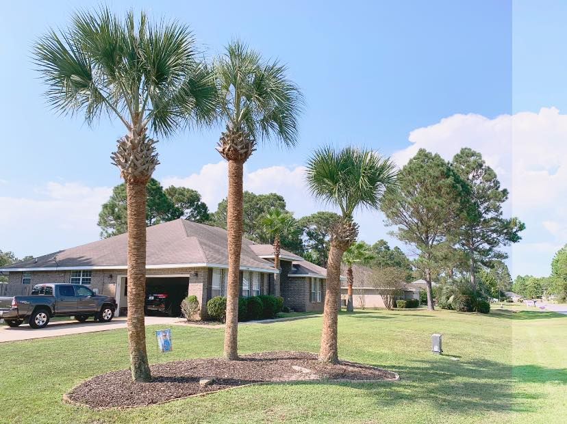 Lawn Care Navarre Fl