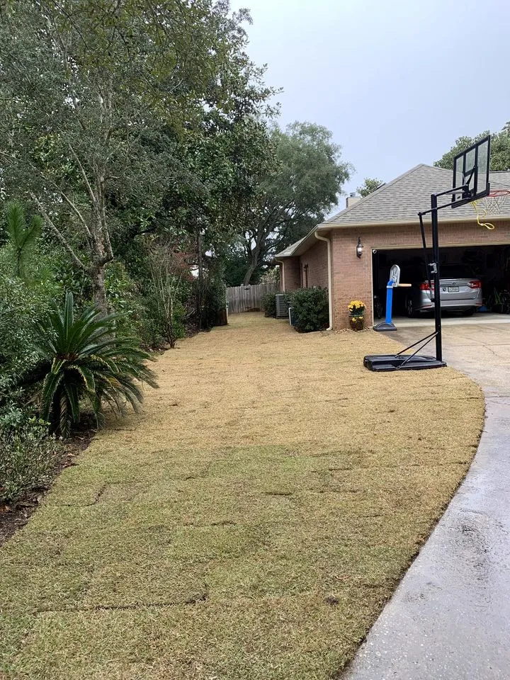 Lawn Care Navarre Fl