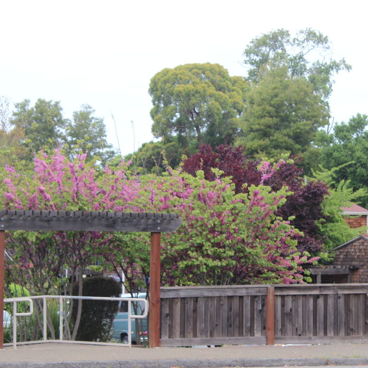 Marin Housing Authority | MHA Properties