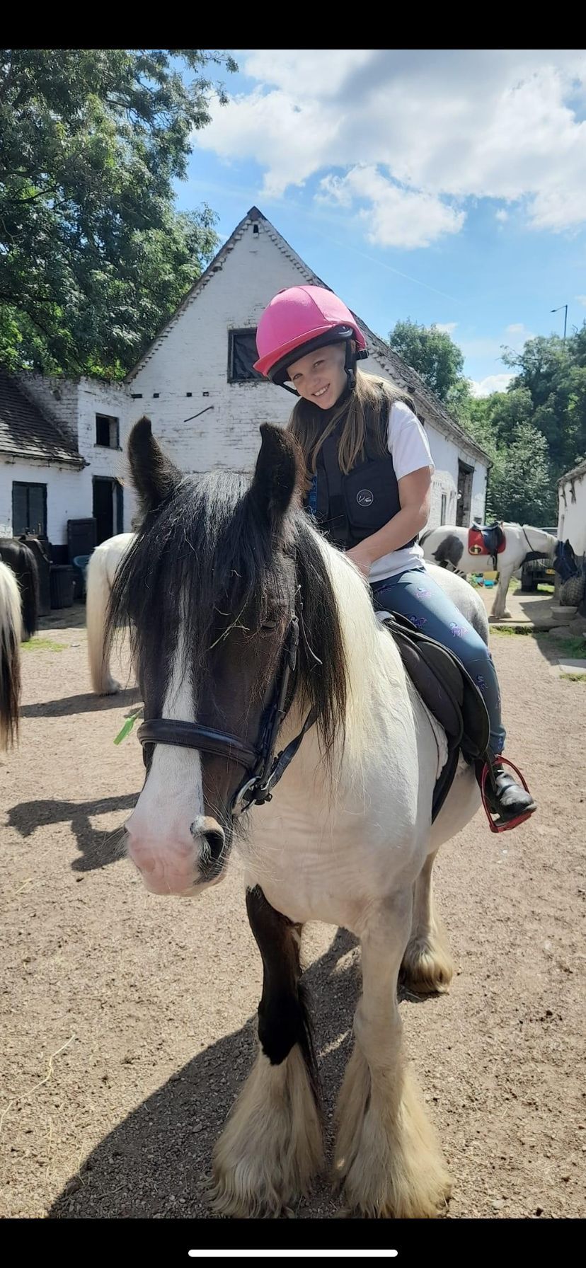 Full and DIY livery services | Sandwell Valley Riding