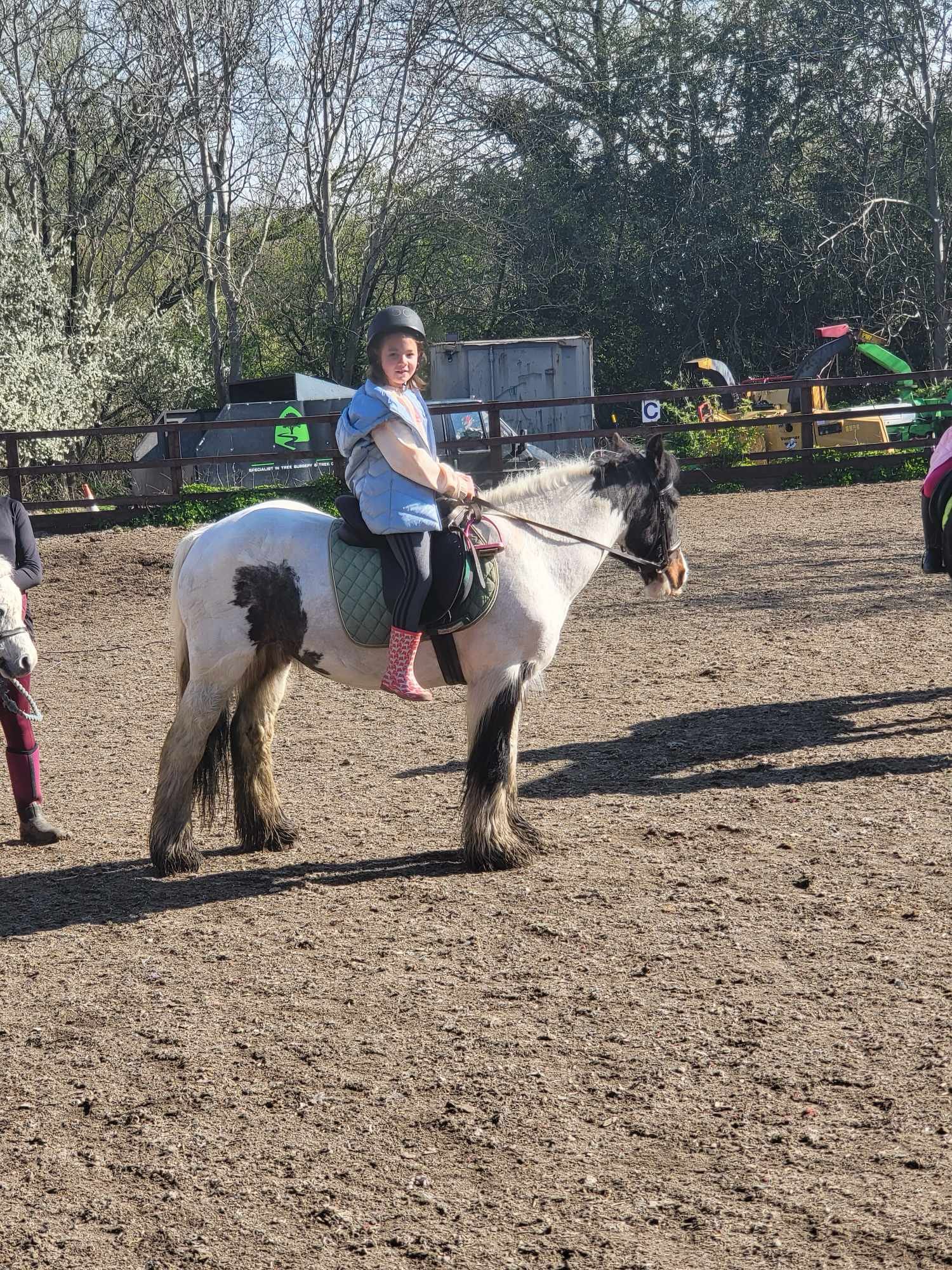 Full and DIY livery services | Sandwell Valley Riding