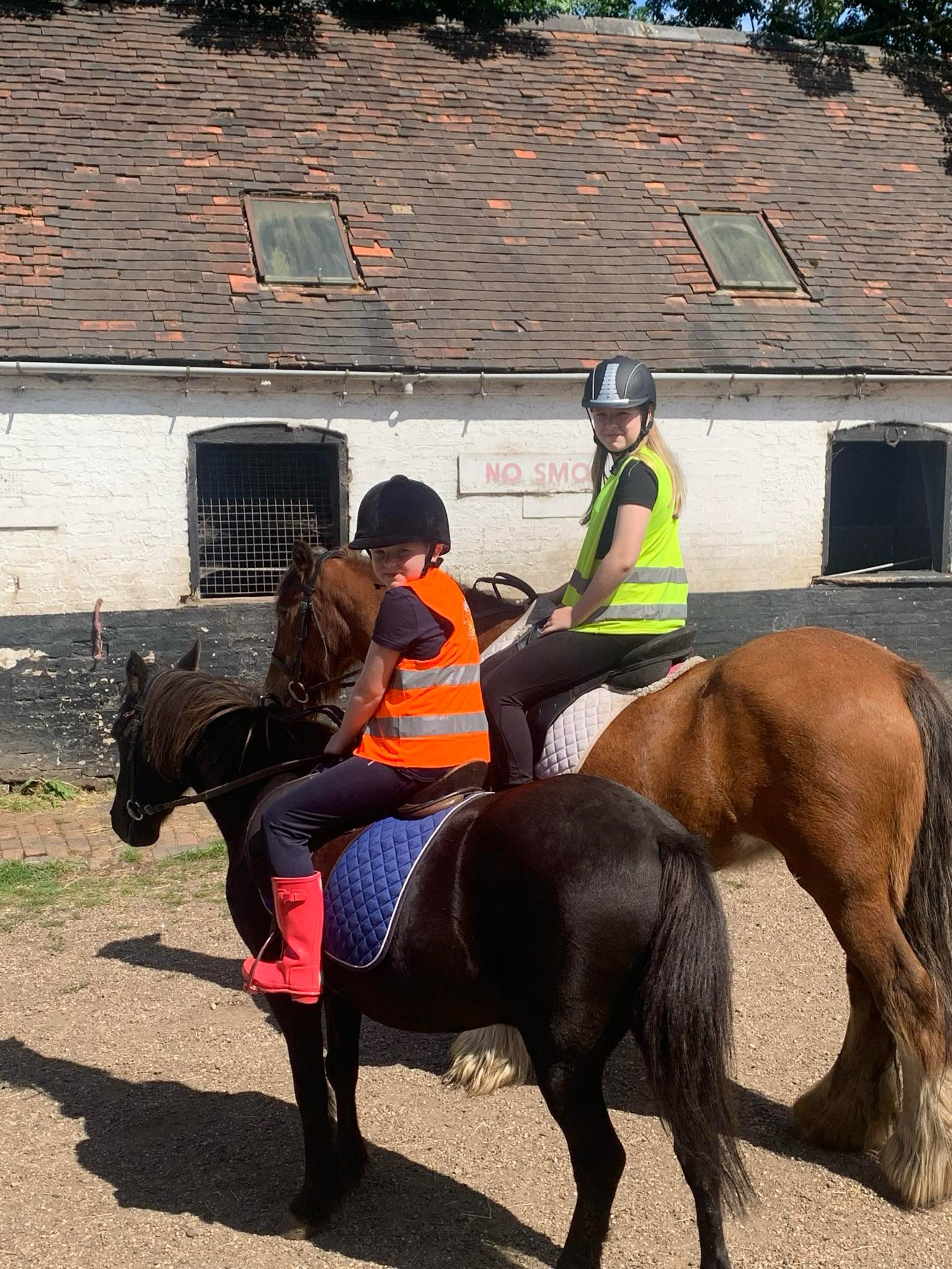 Full and DIY livery services | Sandwell Valley Riding