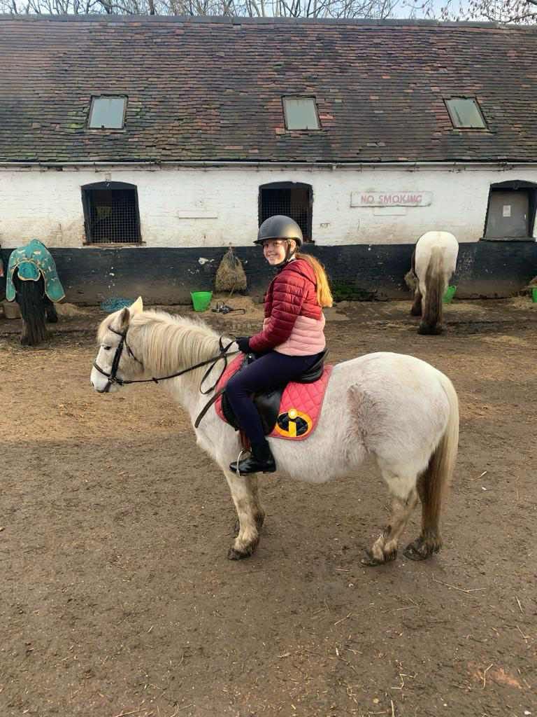 Full and DIY livery services | Sandwell Valley Riding