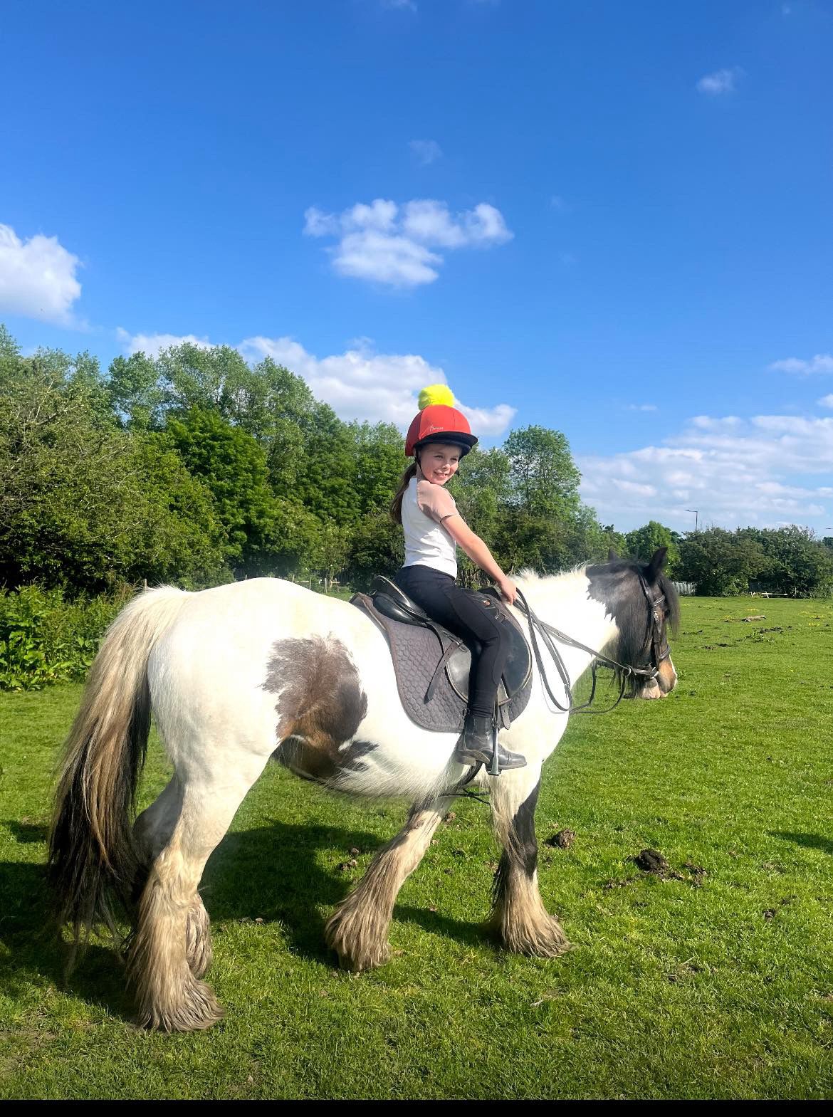 Full and DIY livery services | Sandwell Valley Riding