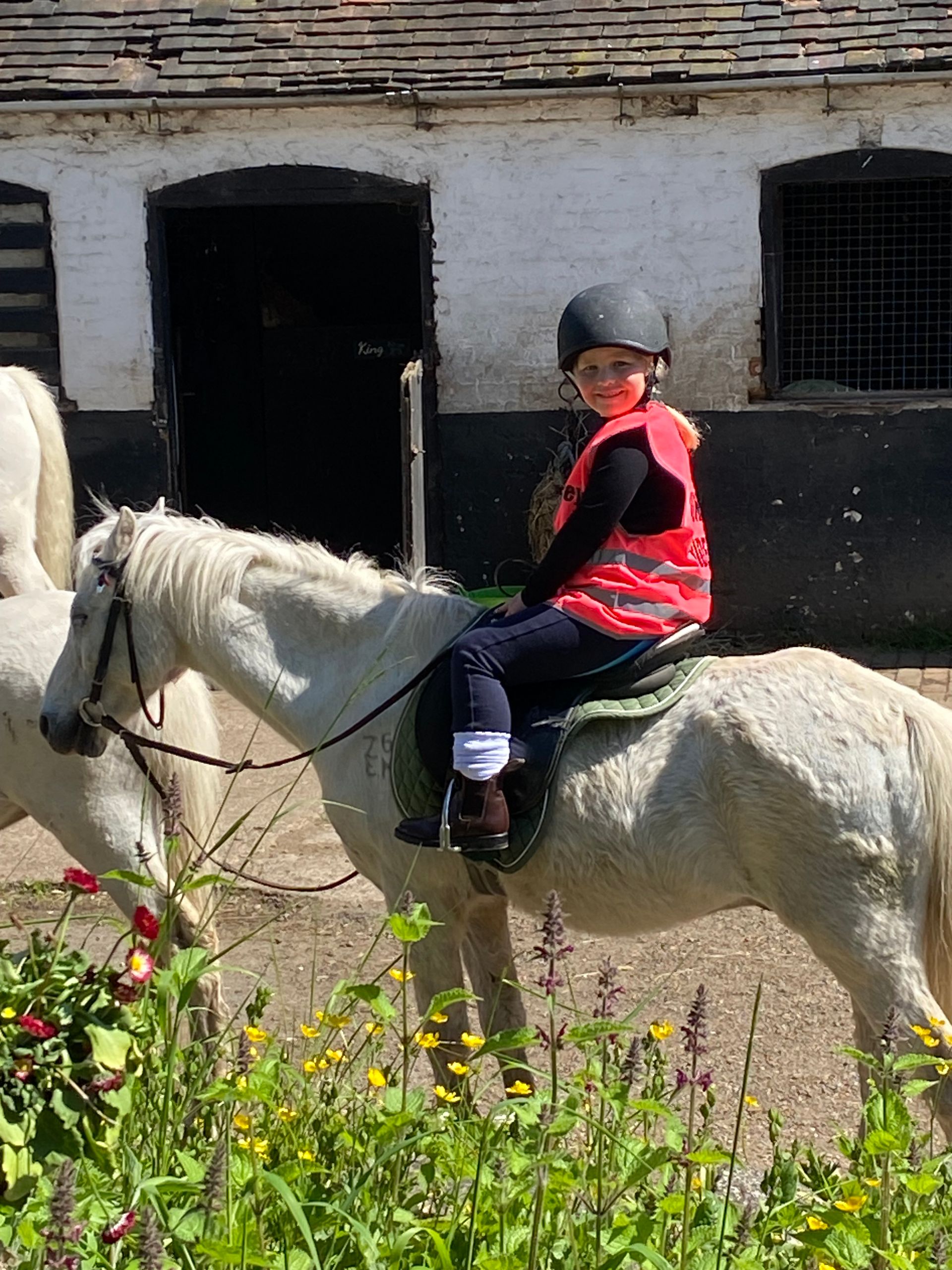 Full and DIY livery services | Sandwell Valley Riding