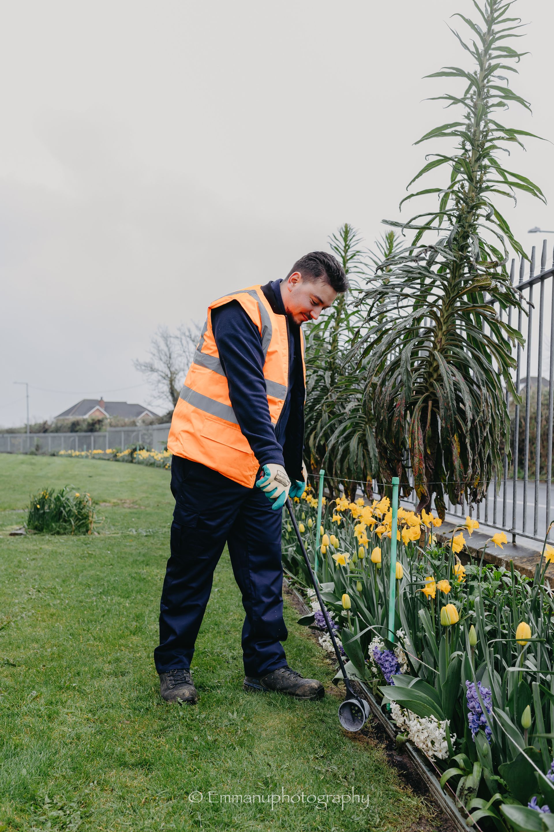 Grounds Maintenance & Landscaping Services Dublin | Domestic & General