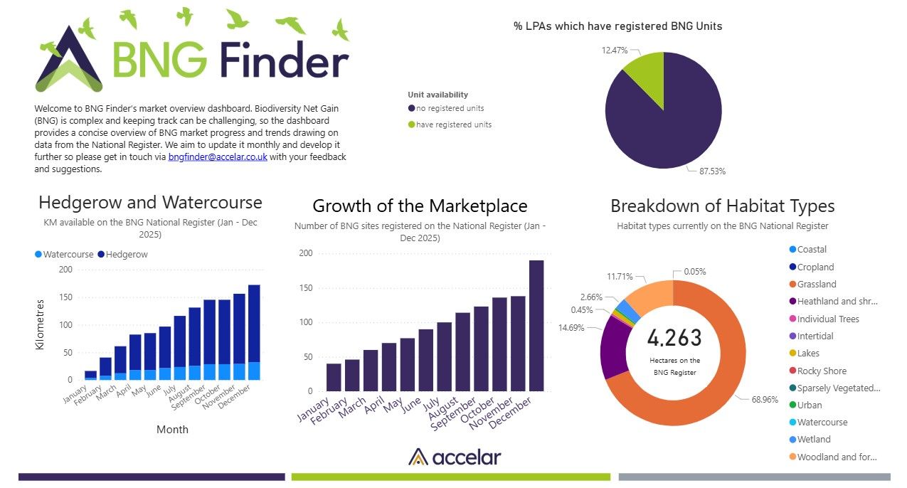 BNG Finder: A Year In Review