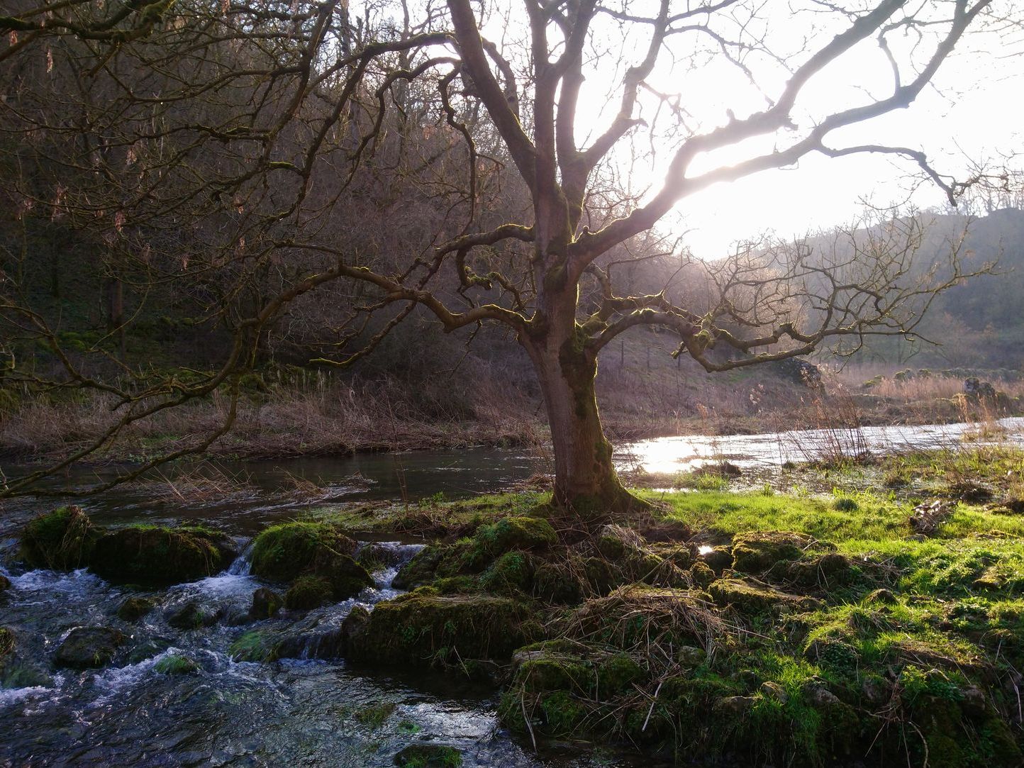 Developers | Connect with Validated Sellers - BNG Finder