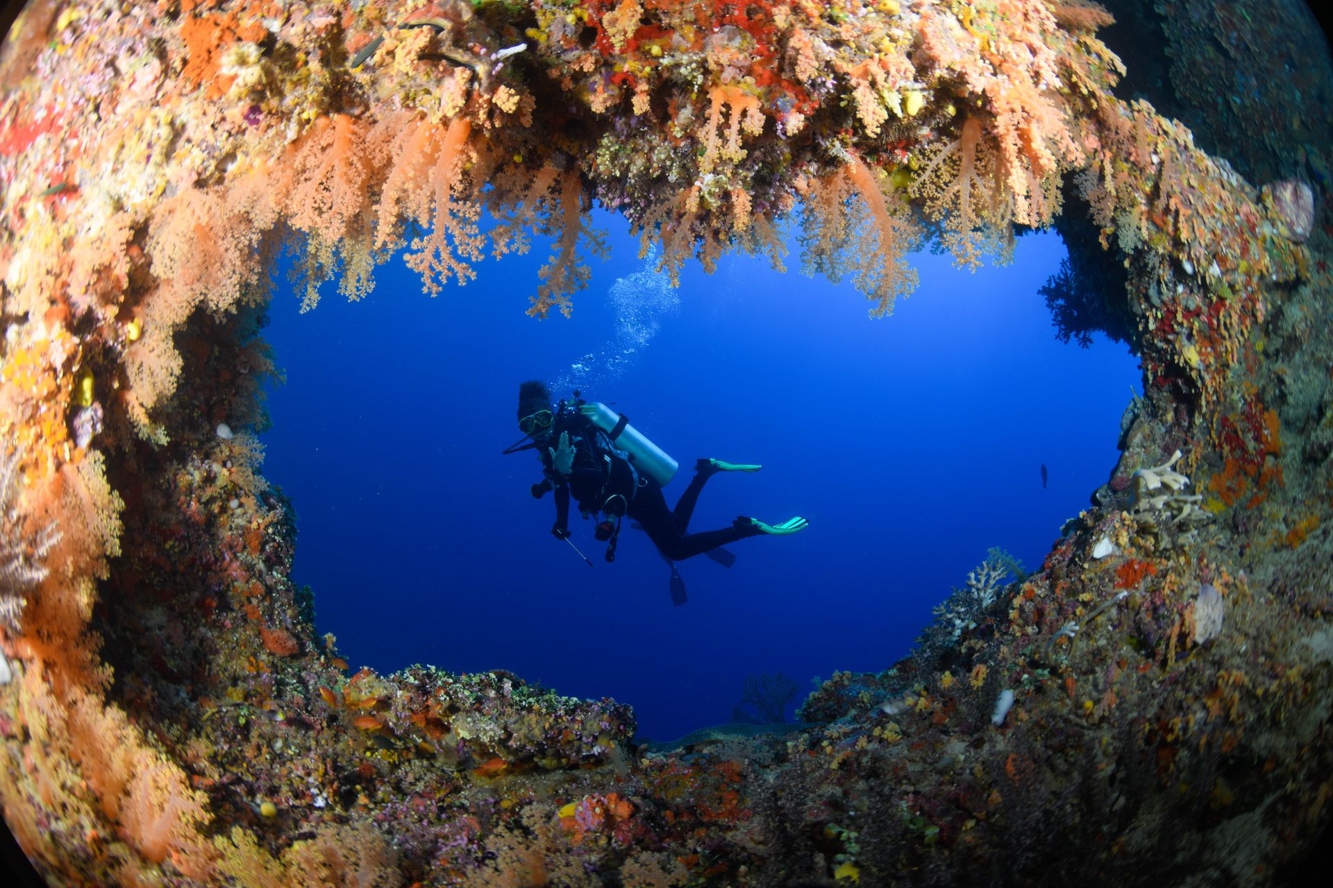 Where is Fiji's best diving? The best reefs in Fiji