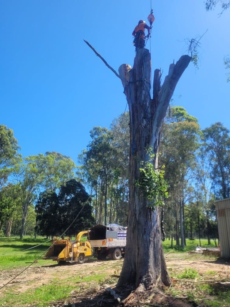 About Us | True Blue Australian Tree Services