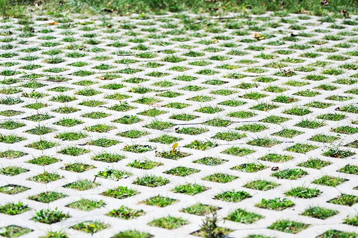 ¿Qué es el adopasto?