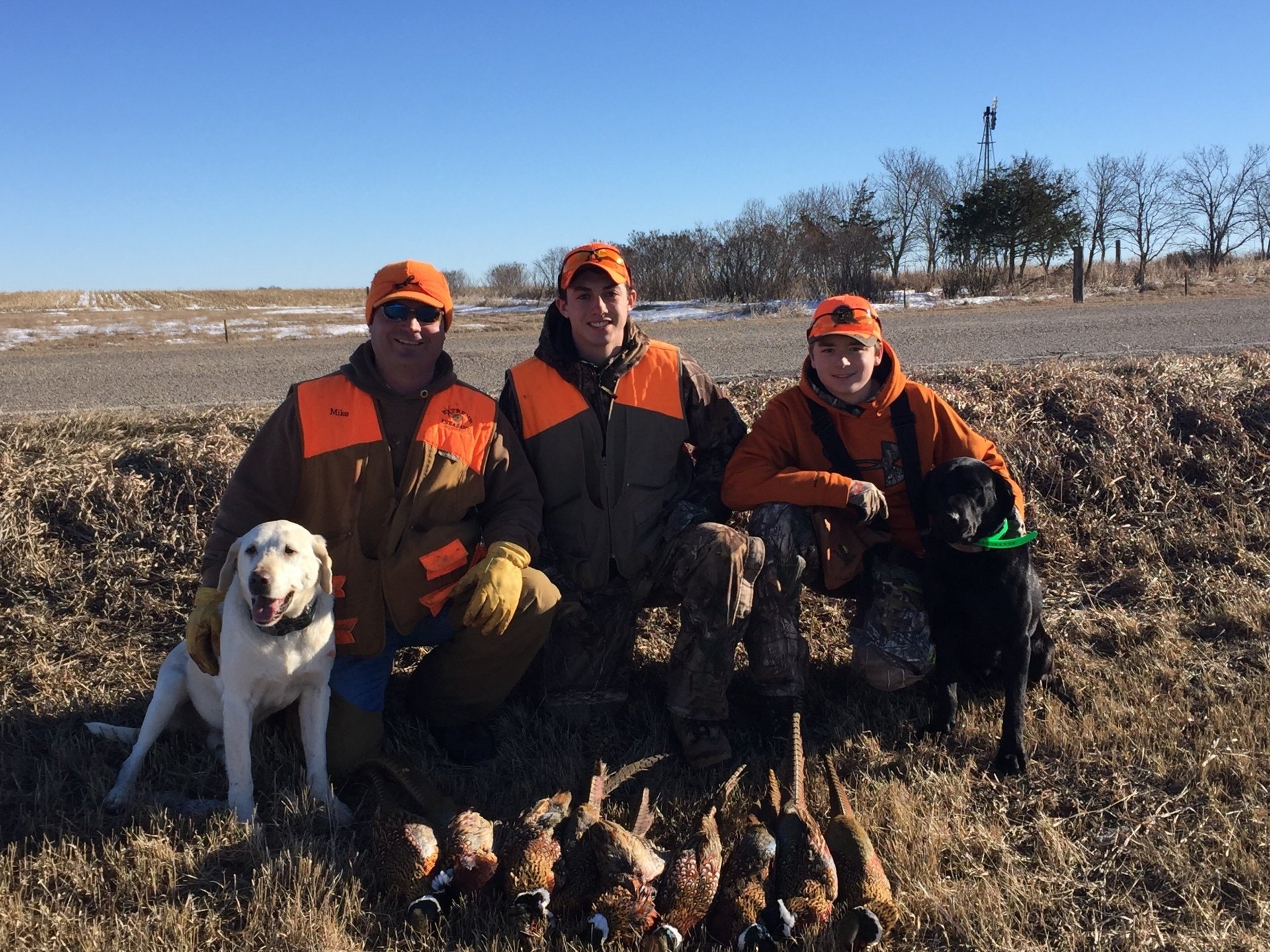 South Dakota Pheasant Hunts - Wild Birds - Large Acreage & Lodge