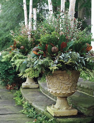 Flowers, Plants, Landscaping & Firewood | Red's Garden Center