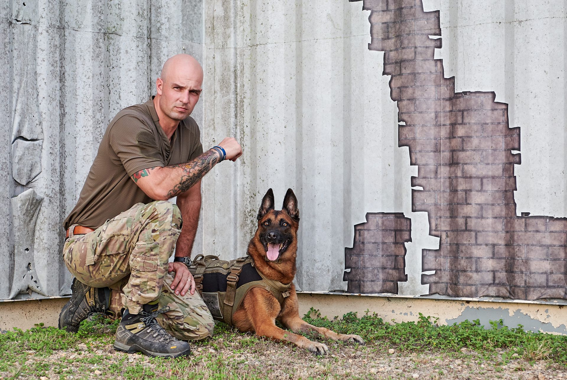 US Marine Corps dog Bass awarded the PDSA Dickin Medal