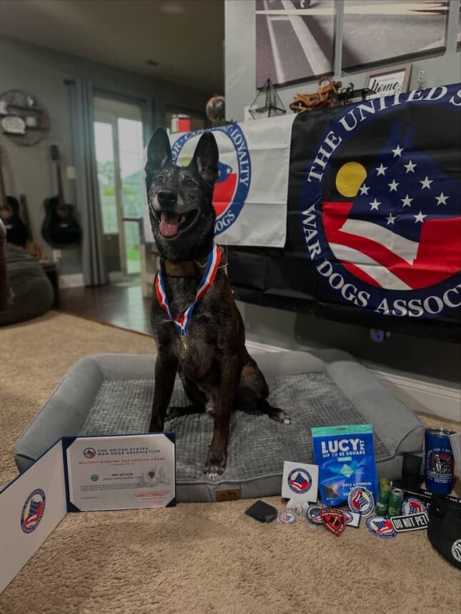 US War Dogs | Retired Military Working Dogs Health Care