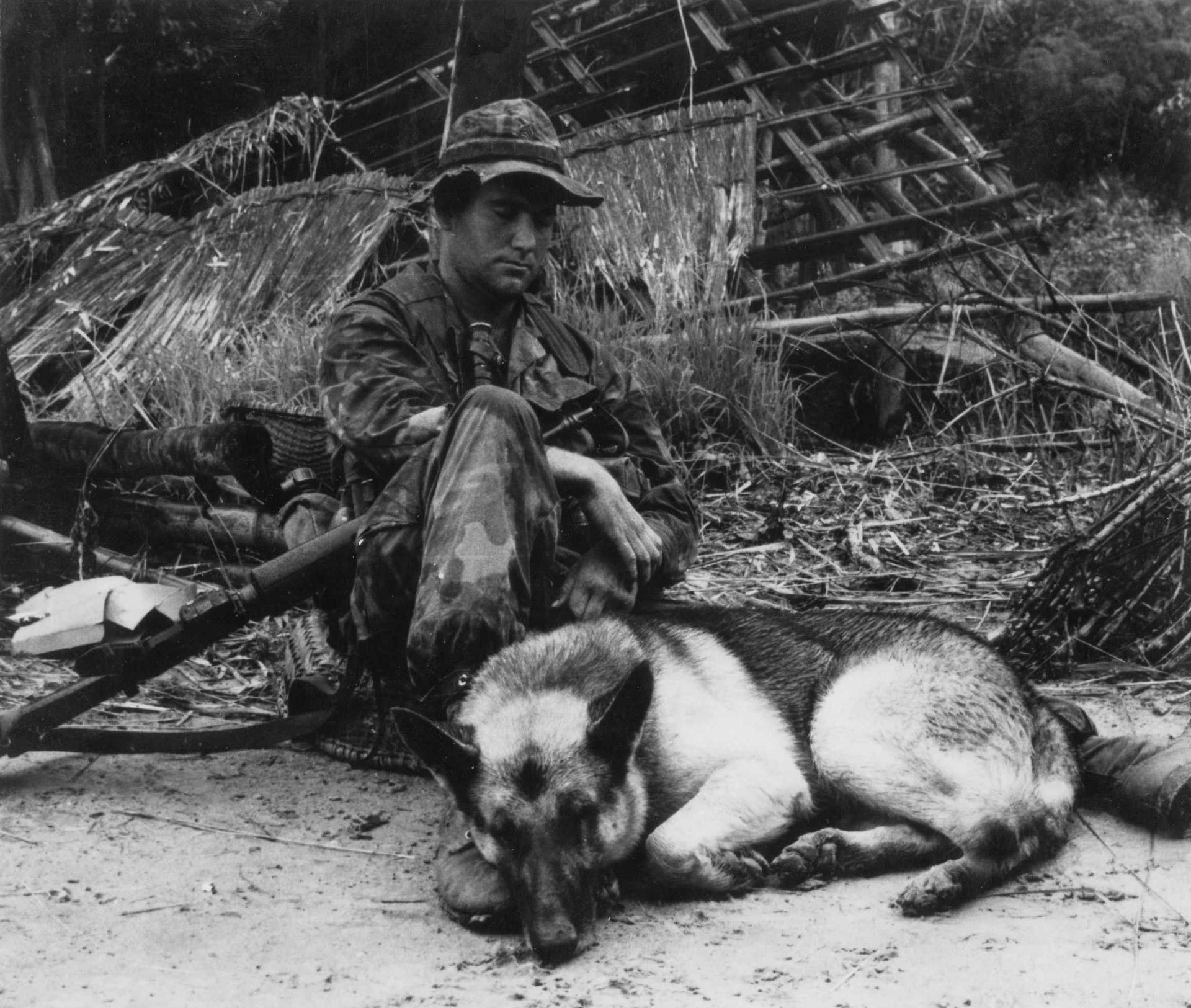 Vietnam War Introduction | US War Dogs