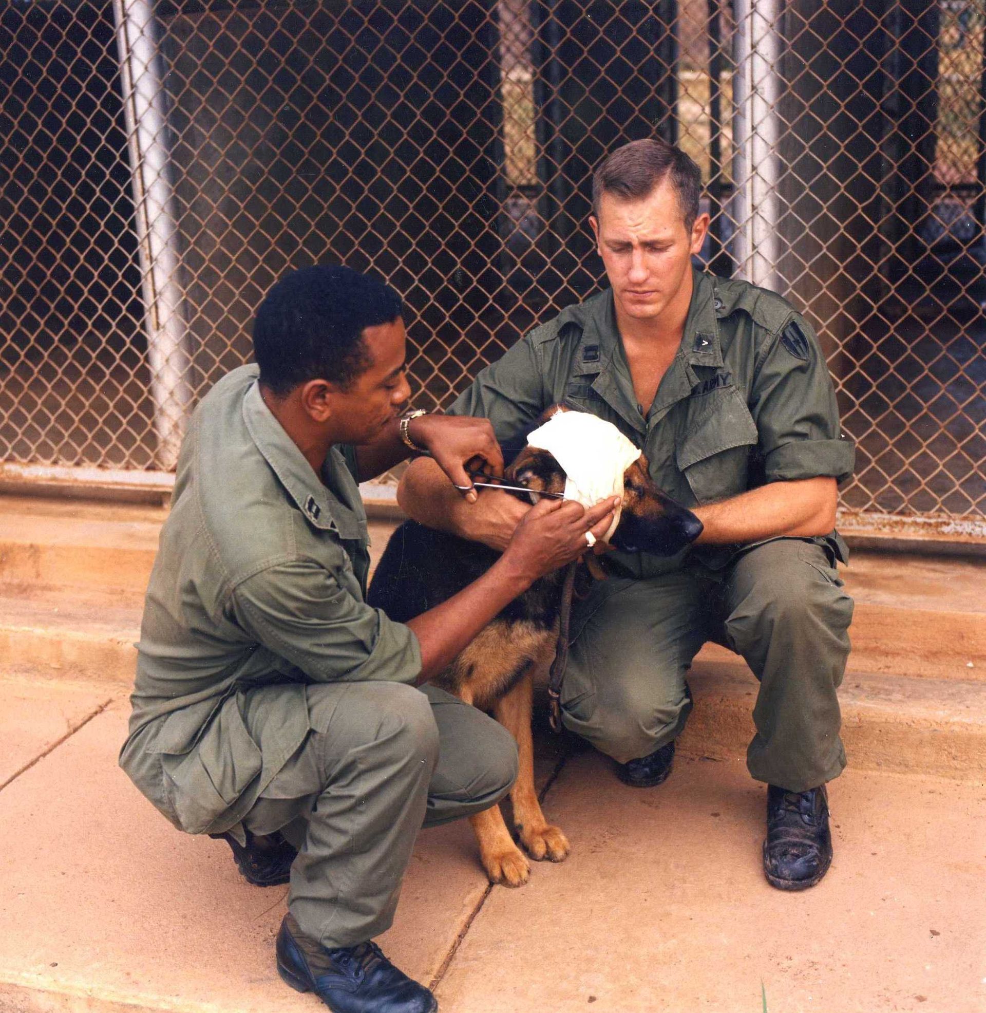 Vietnam War Introduction | US War Dogs