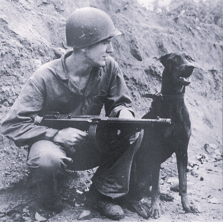 WW2 Volunteer Effort | US War Dogs