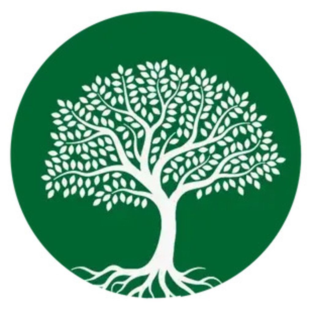 What Kind of Tree Are You? Take the Quiz!
