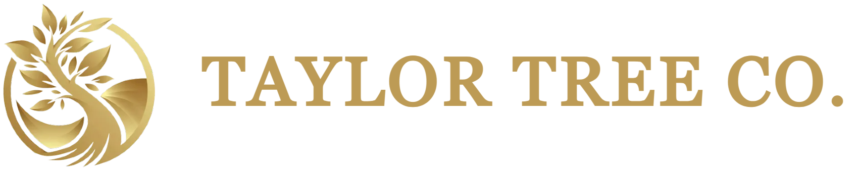 Professional Tree Service in Gulfport MS | Taylor Tree Co.