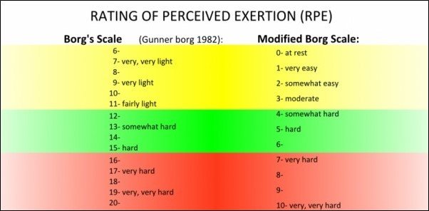 RPE-based training – What is the Borg RPE Scale and how can I apply it ...