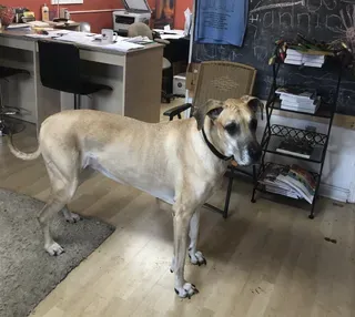 Discover Our Story | Artex Designs, LLC | All USA