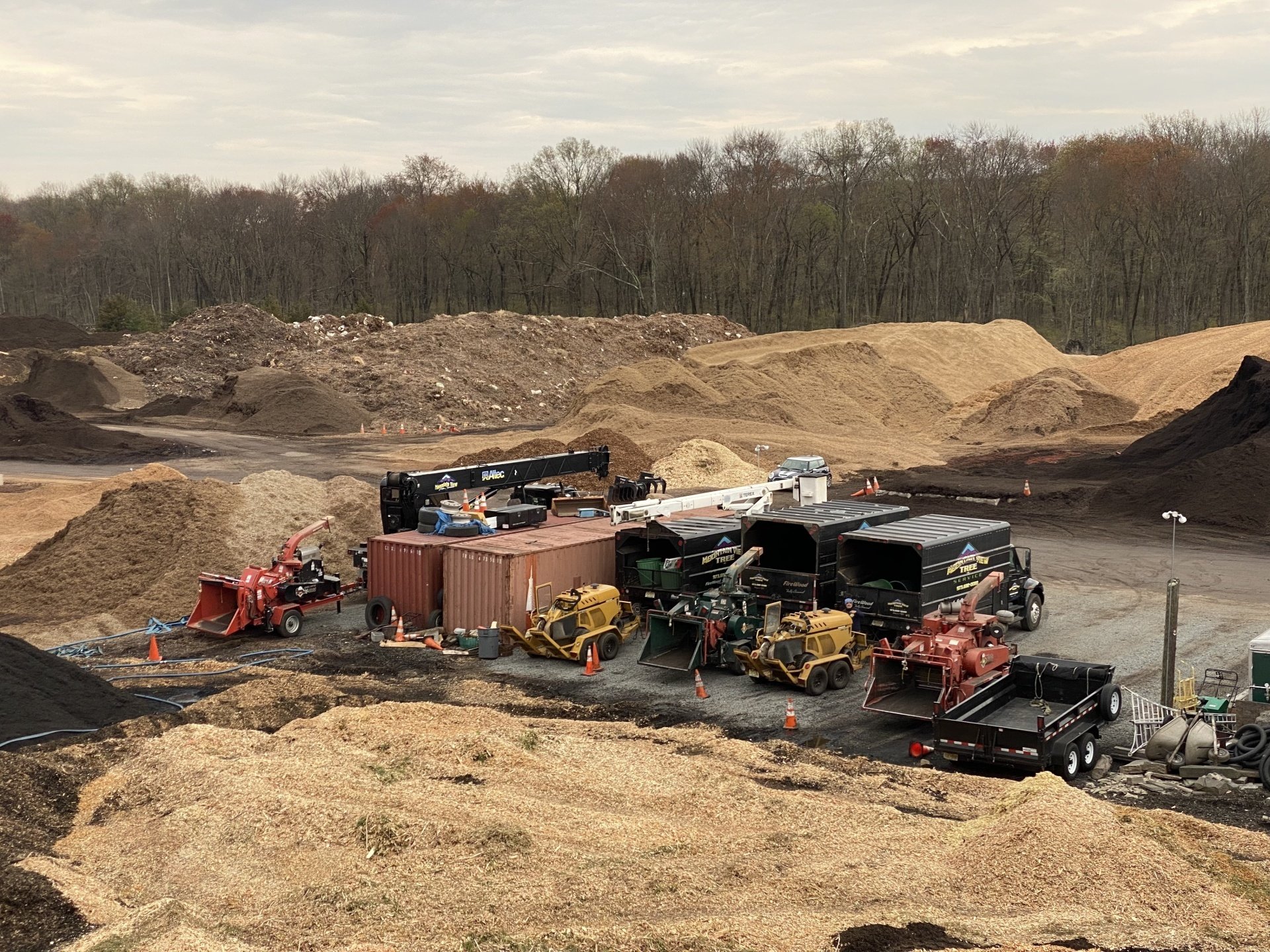 About Us | Wayne, NJ | Mountain View Tree Service