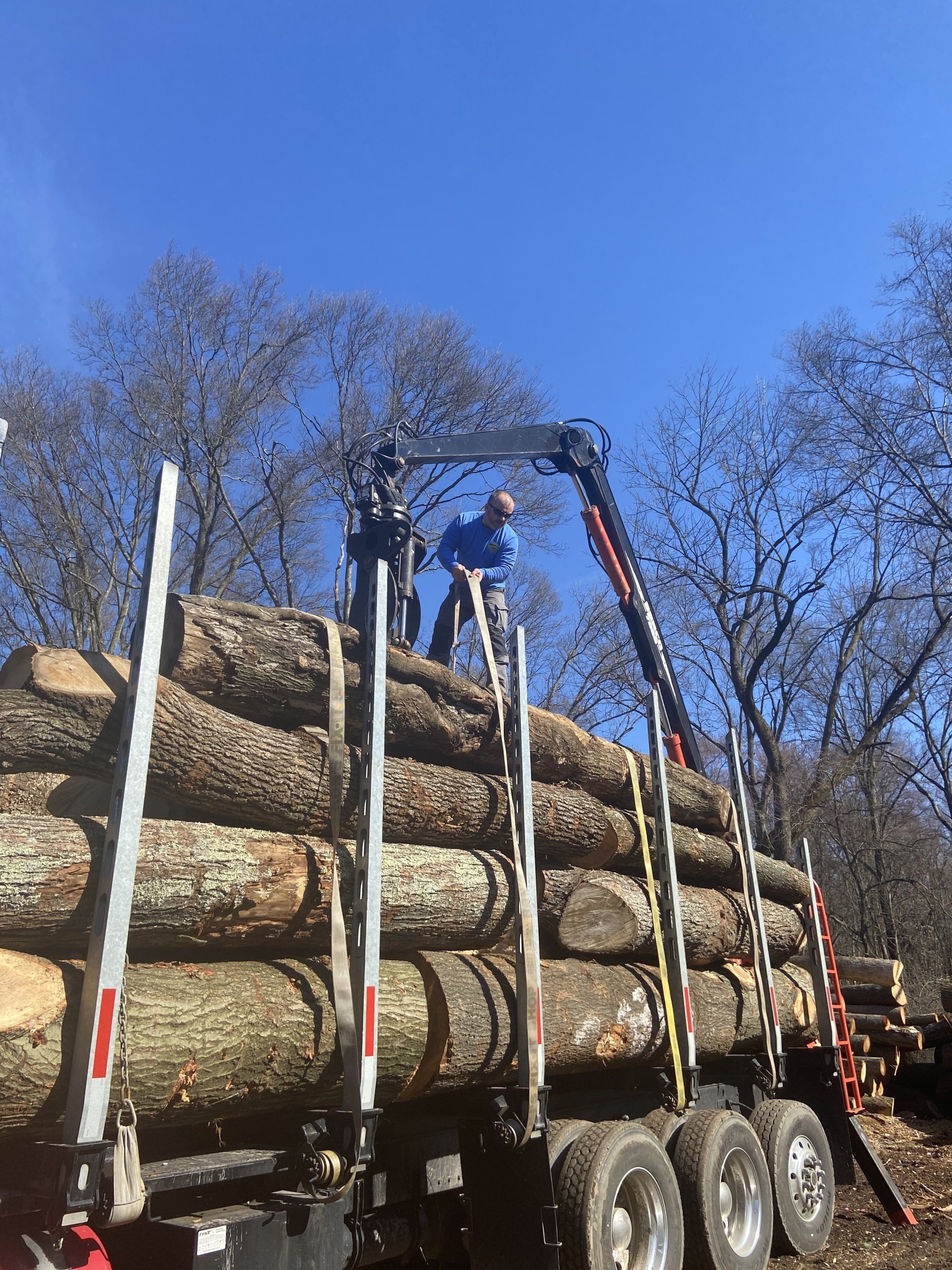 About Us | Wayne, NJ | Mountain View Tree Service