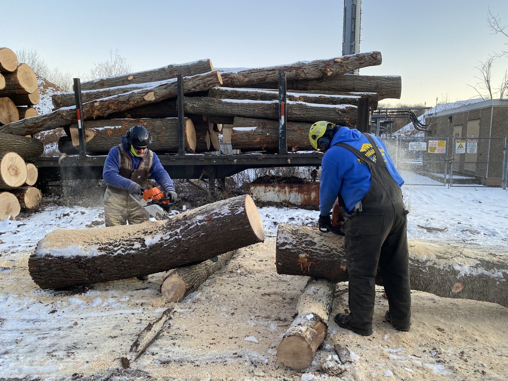 Gallery | Wayne, NJ | Mountain View Tree Service