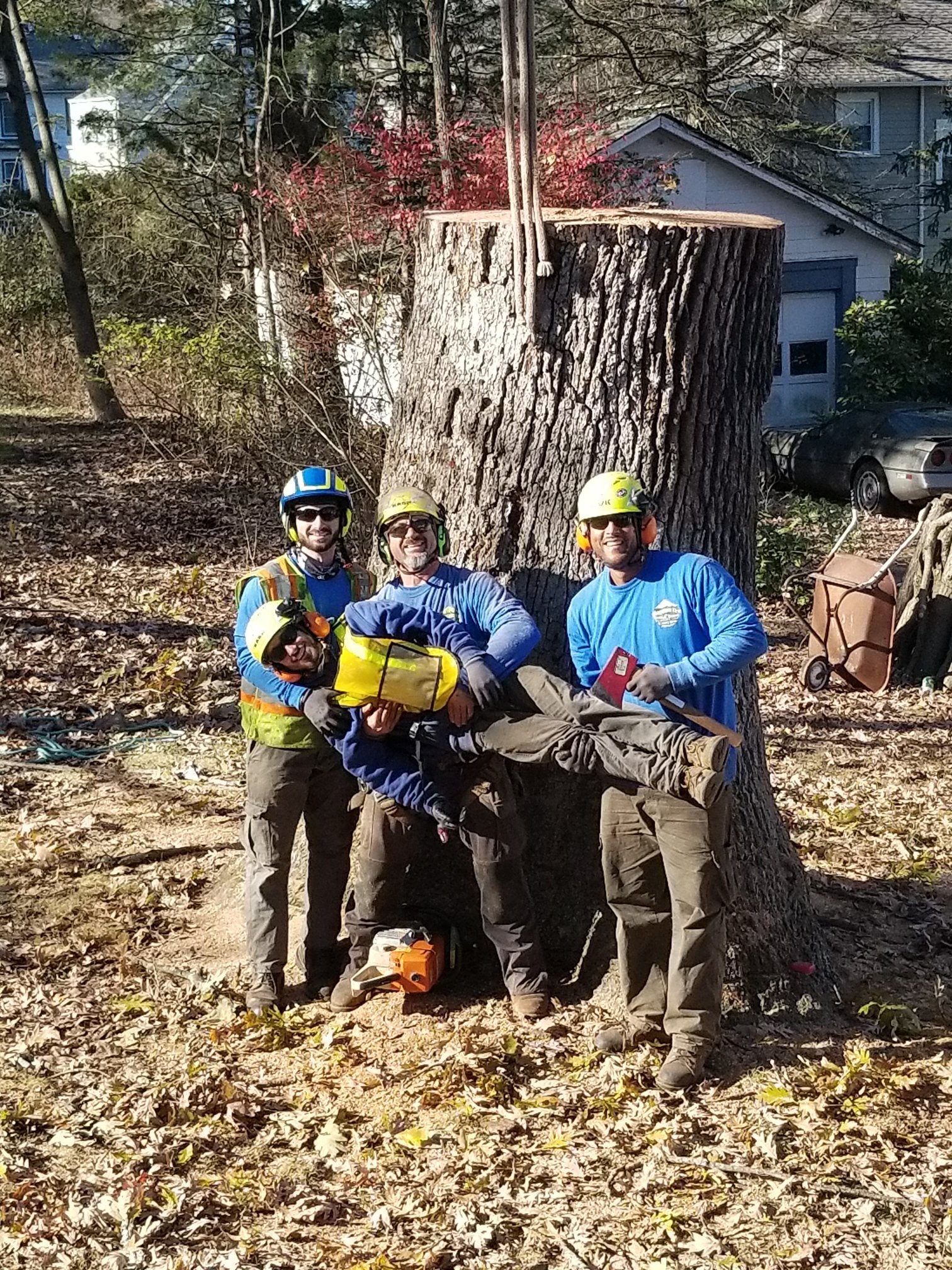 Gallery | Wayne, NJ | Mountain View Tree Service