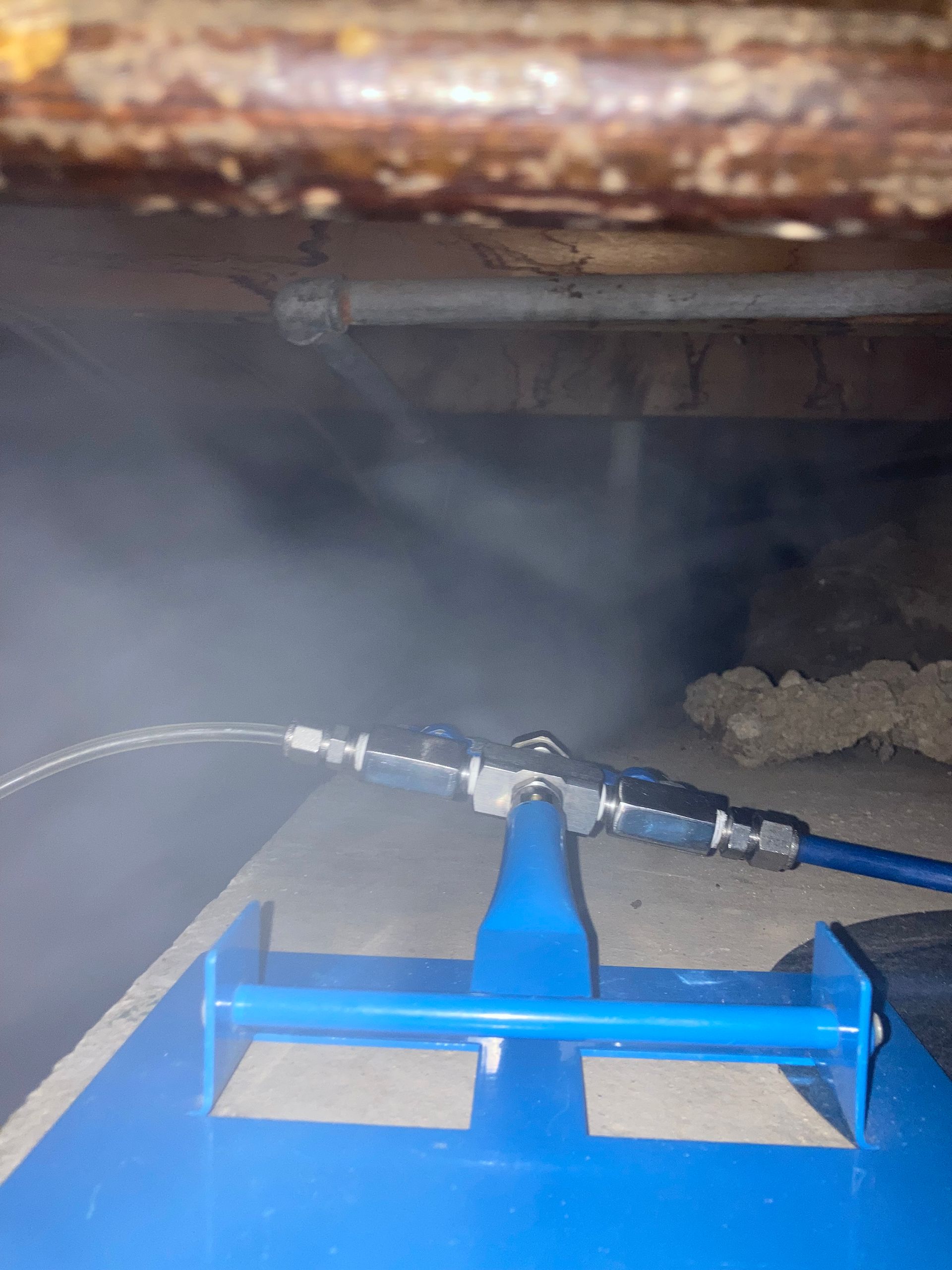 Mold Removal | Fort Collins, CO | Breathe Pure Solutions