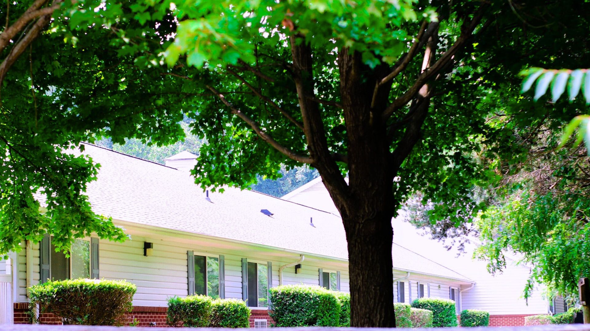 Impact Senior Living & SRI Management Collaborate in Virginia