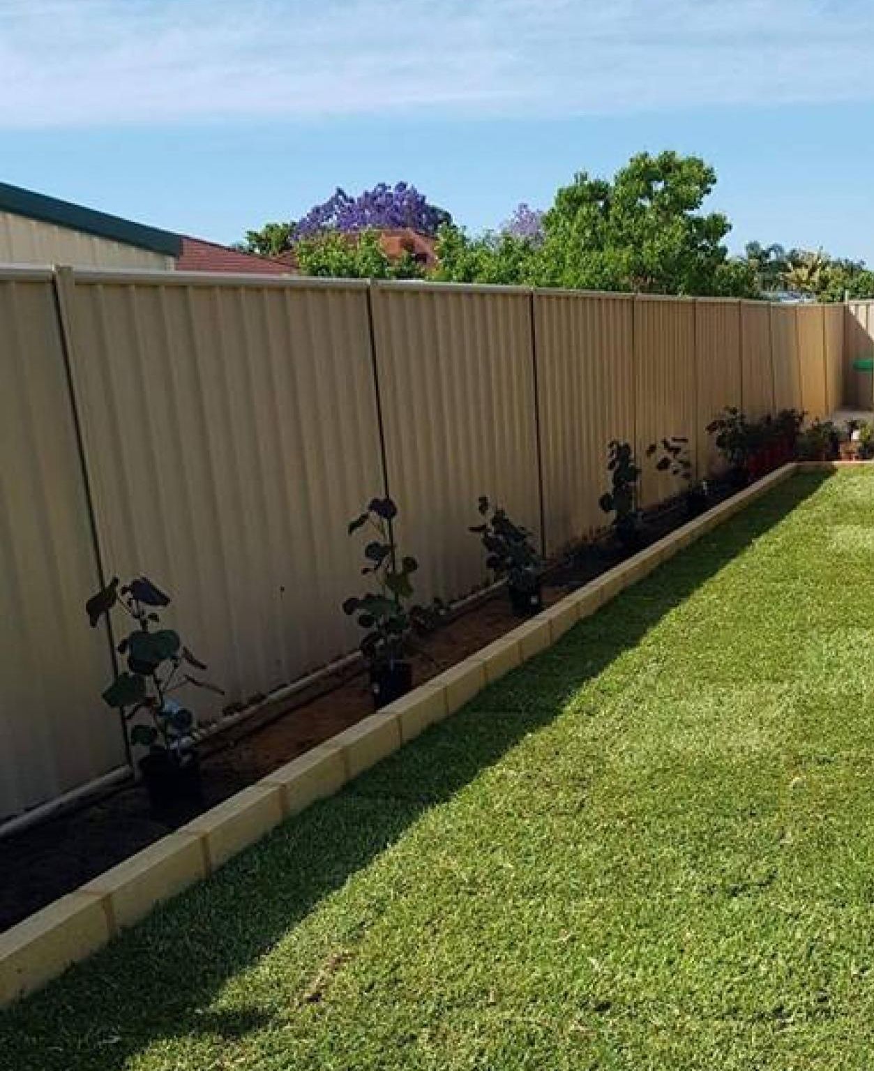 Colorbond Fence Panels, Extensions & Packages