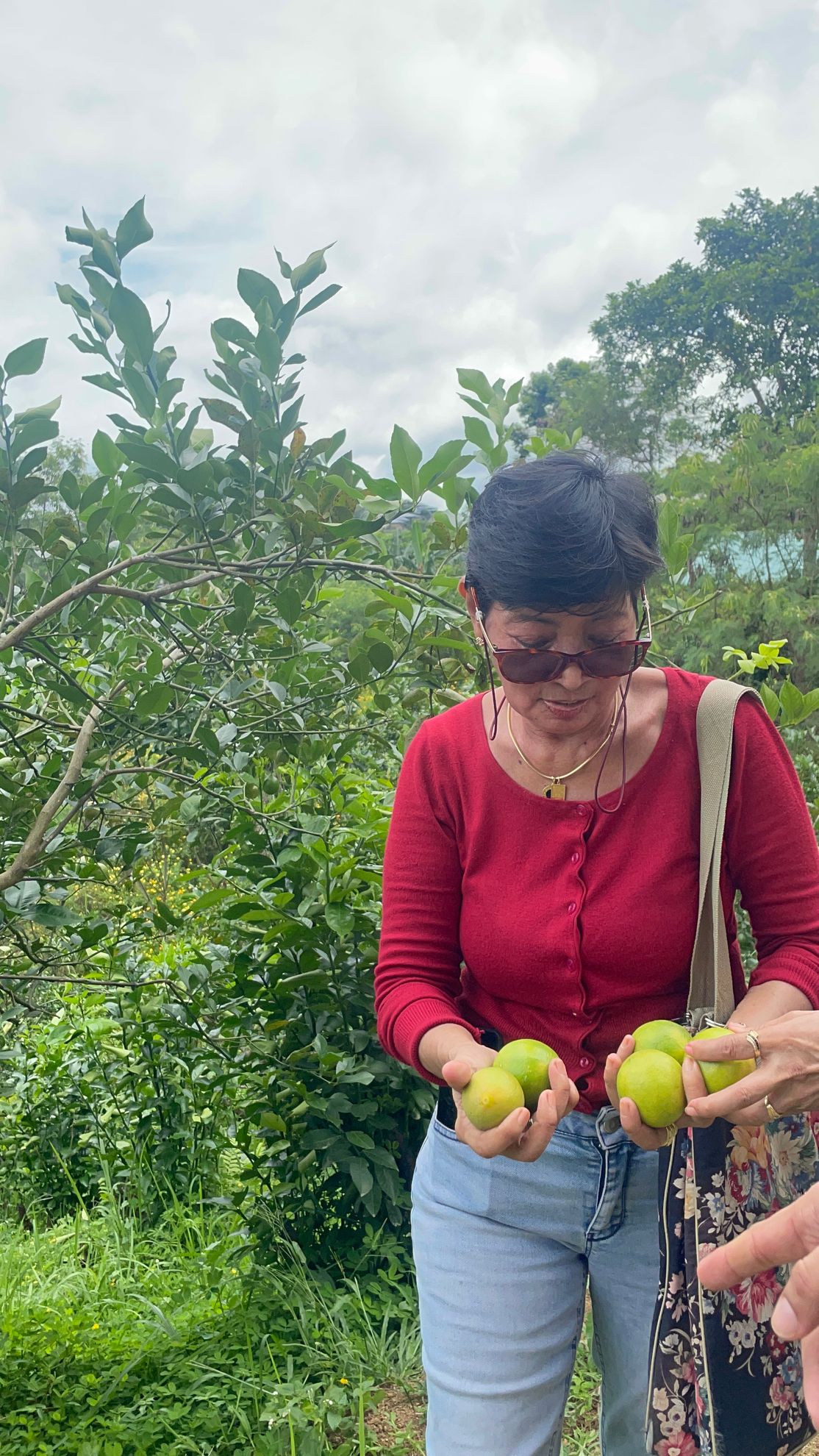 Outdoor Activities at The Apiary Mountain Camp & Farm | Tanay, Rizal