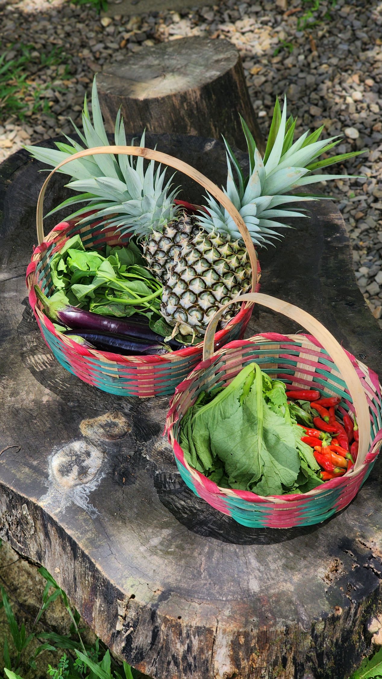 Outdoor Activities at The Apiary Mountain Camp & Farm | Tanay, Rizal