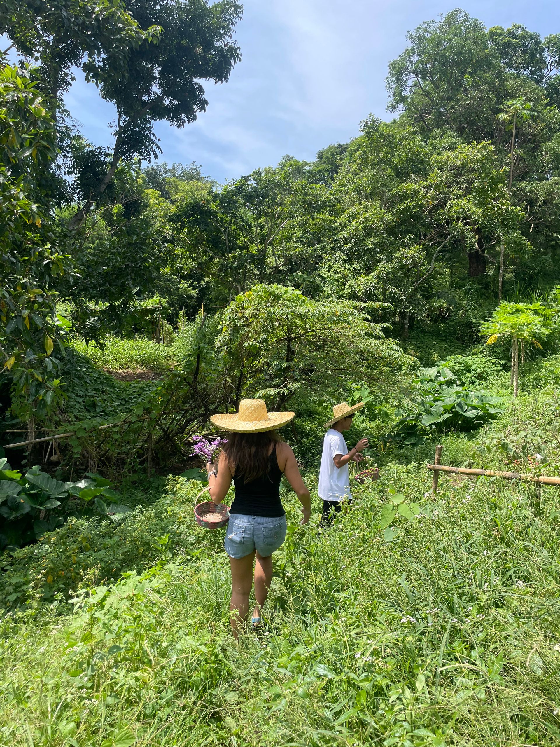 Outdoor Activities at The Apiary Mountain Camp & Farm | Tanay, Rizal