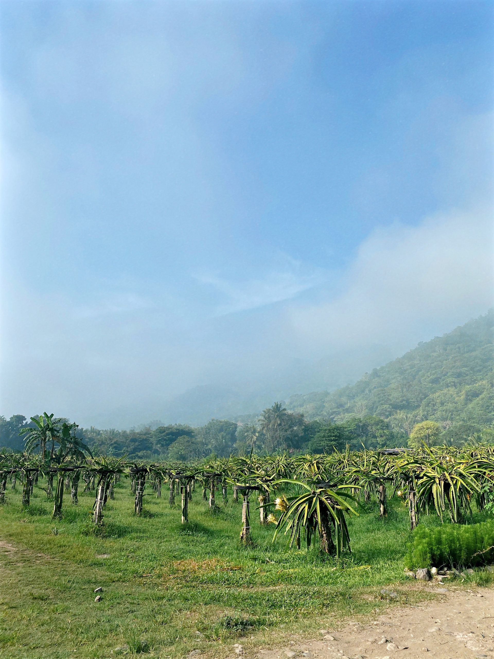 Outdoor Activities at The Apiary Mountain Camp & Farm | Tanay, Rizal
