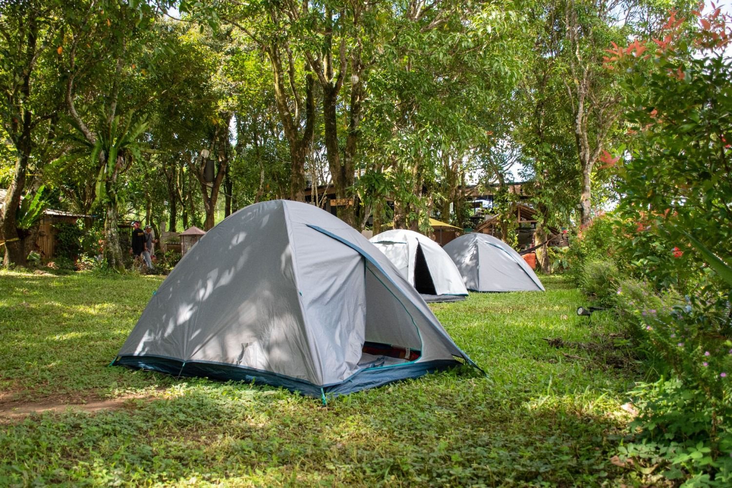 The Apiary Mountain Camp & Farm | Nature Retreat in Tanay, Rizal