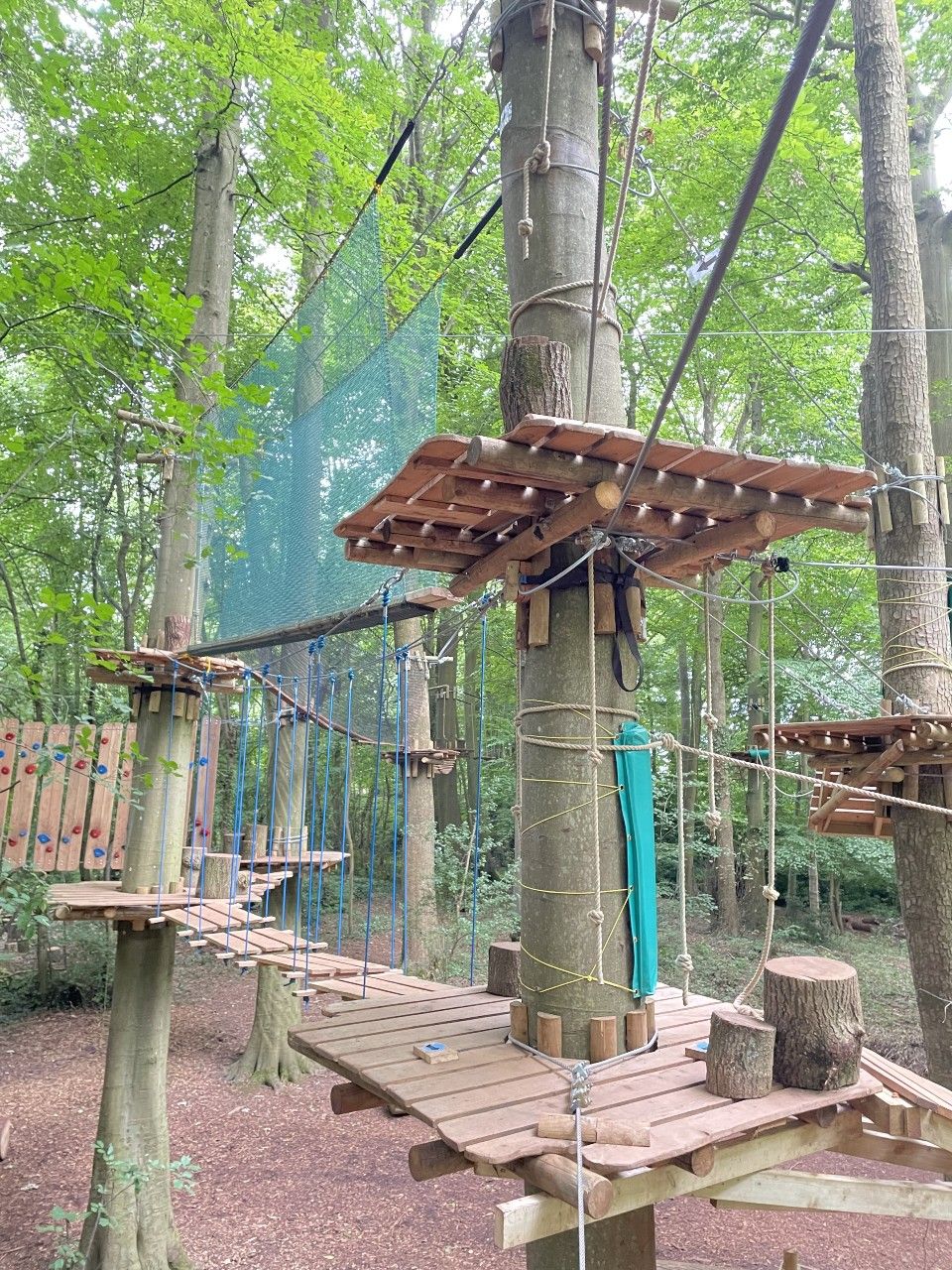 Tree Tops High Ropes